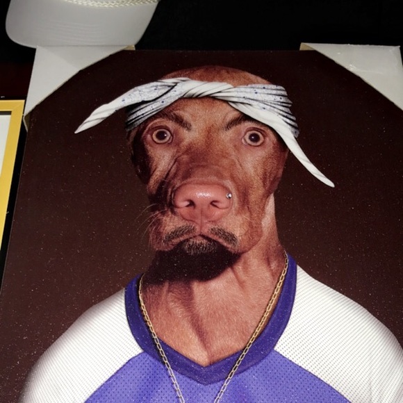 kililluminati | Accessories | Tupac Dog New Such A Dope Peice Of Art ...